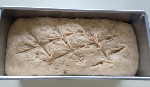 Whole Wheat Bread – Pepkitchen