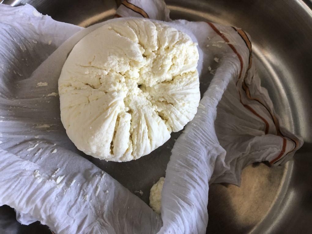 Rasmalai (Cottage Cheese Disc In Flavored Milk) – Pepkitchen