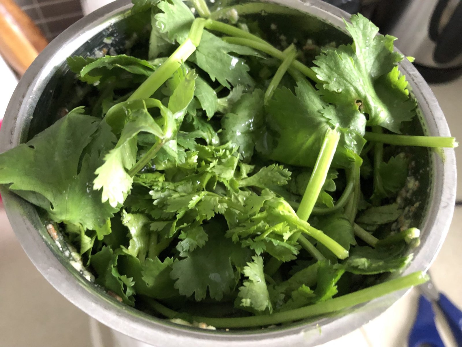 Coriander Mint Mango Chutney – Pepkitchen